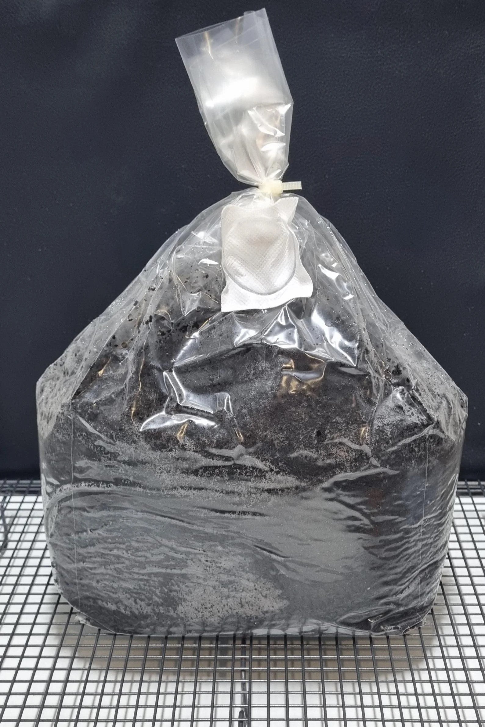 Organic Casing Material